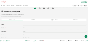Salik Fine Check How to Check Salik Fines & Securely Pay Online Nov 2024